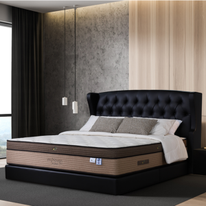 My Haven Firm – Philea